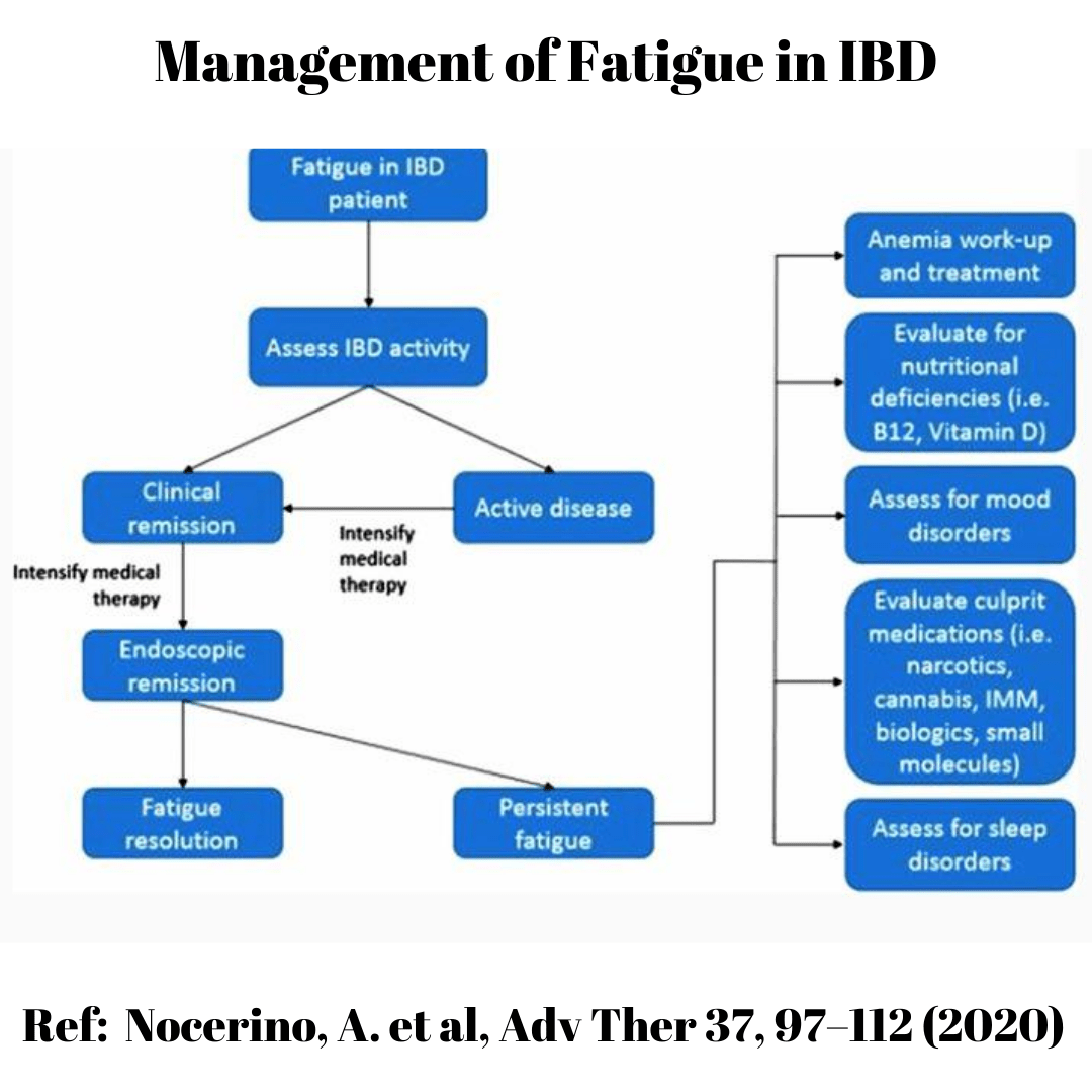 Fatigue and IBD – casa de sante